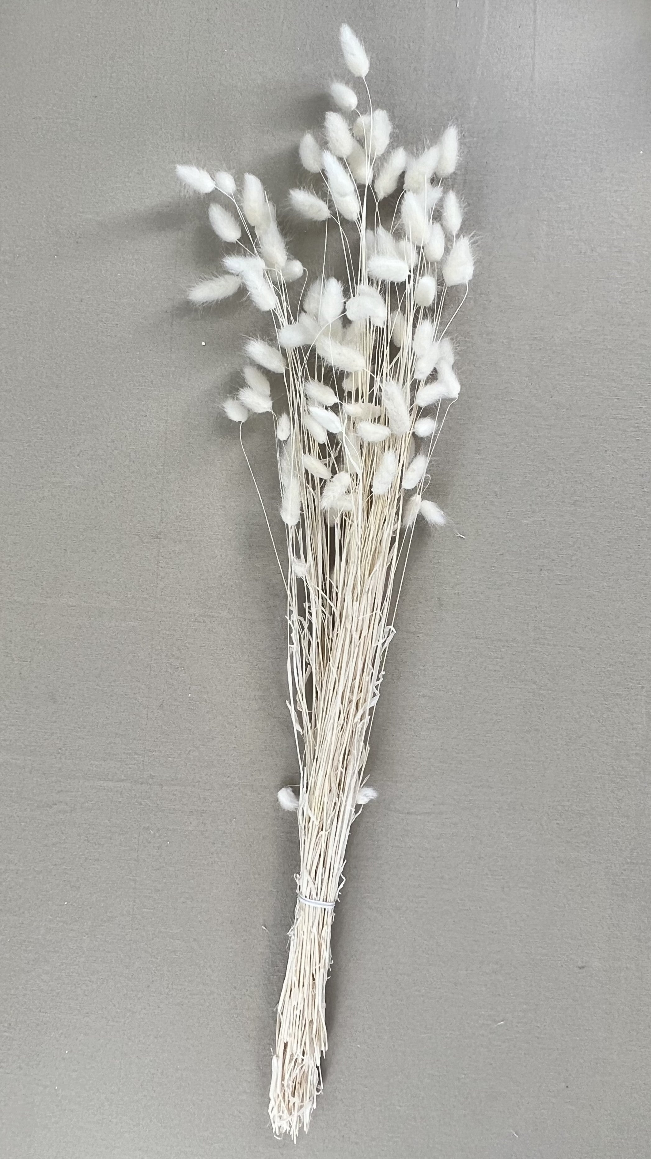 Bunny Tails - Bleached – SheyWest