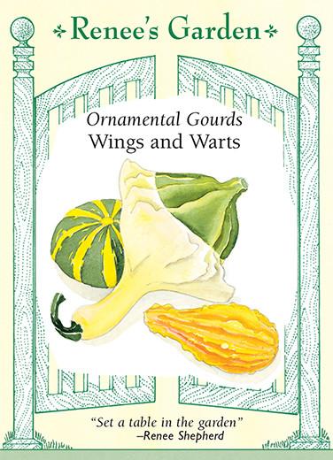 Veggie Seeds - Wings & Warts Gourd – SheyWest