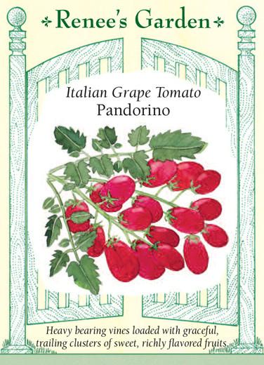 Renee's Garden Italian Grape Tomato Pandorino Seeds – SheyWest